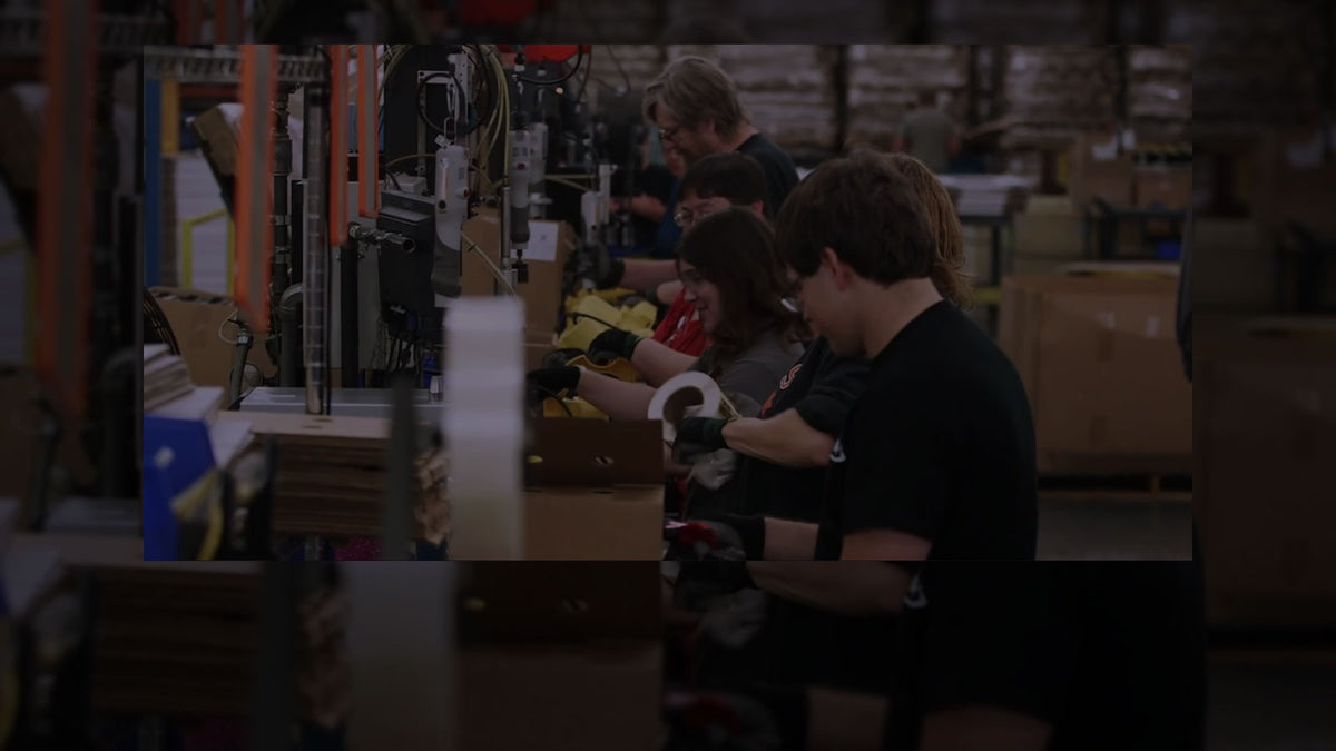 Wayne Basement Guardian Smart Basement Protection Systems